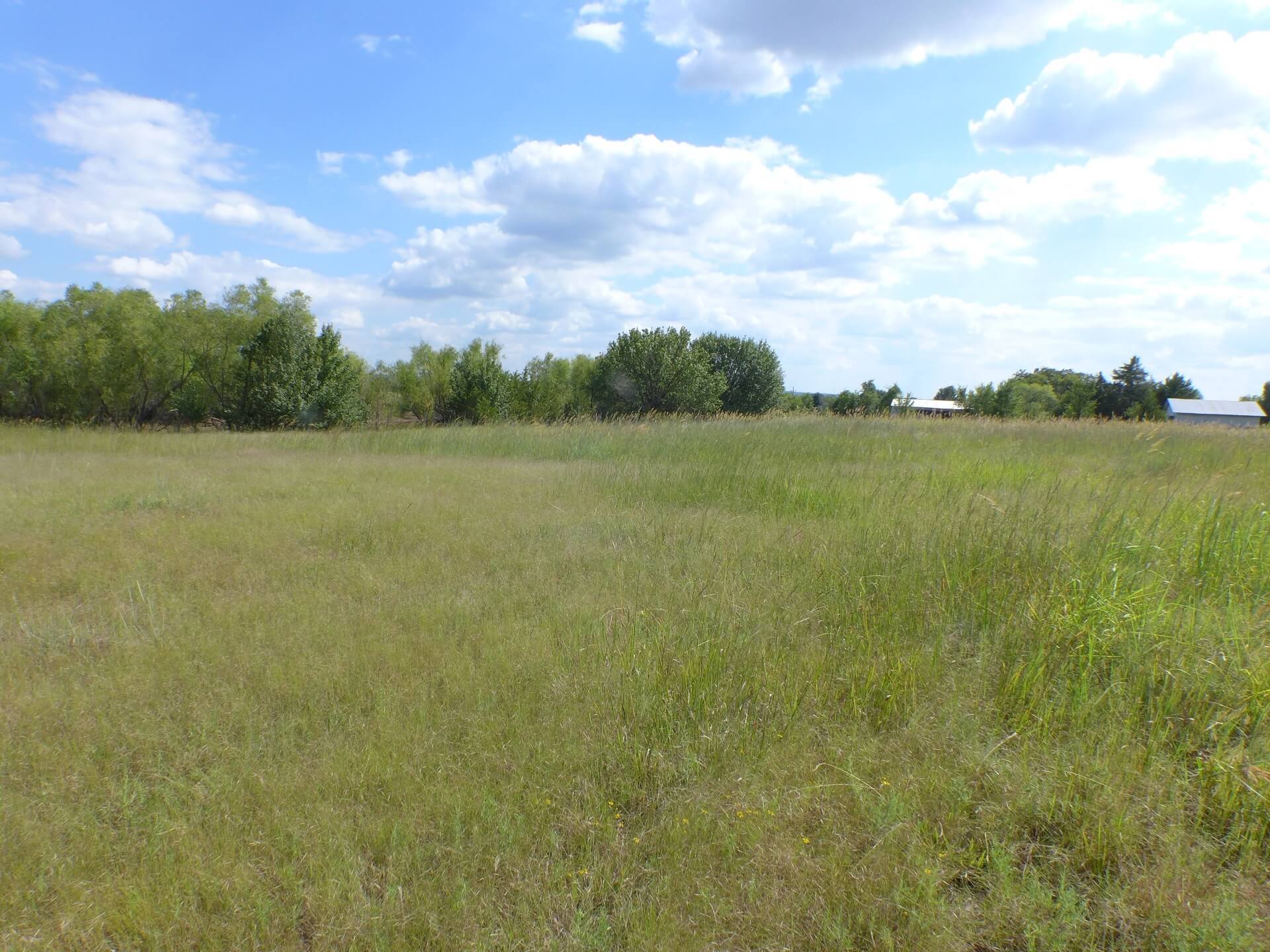 6 ACRES with POND & BARN...PAVED ROAD FRONTAGE – Cedar Ridge Real Estate